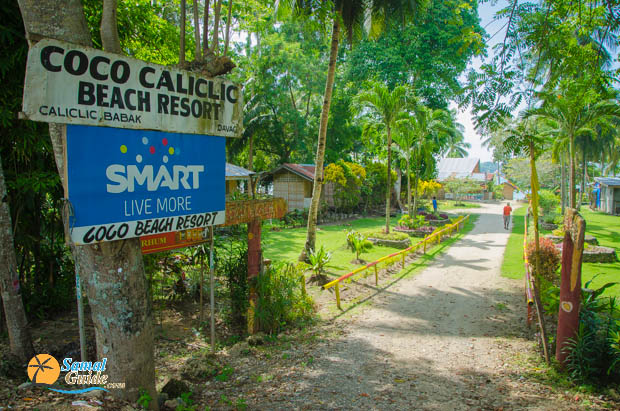 Coco Caliclic Beach Resort Reviews, Rates, Photos, and Map (Updated2025 ...