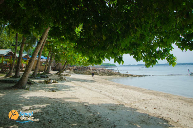 Coco Caliclic Beach Resort Reviews, Rates, Photos, and Map (Updated2025 ...