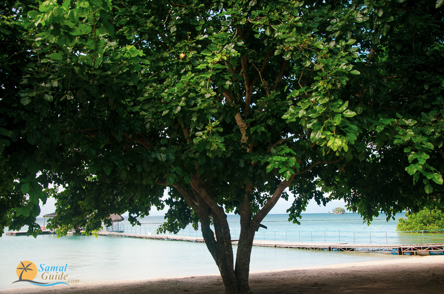 Uraya Beach Resort (Olivia Sands): Review, Rates, Photos, and Map ...