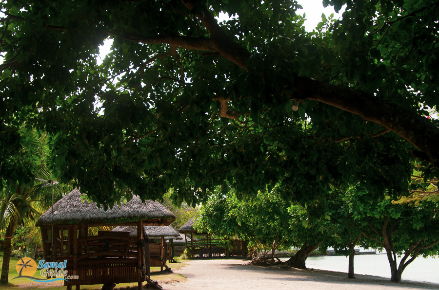 Uraya Beach Resort (Olivia Sands): Review, Rates, Photos, and Map ...