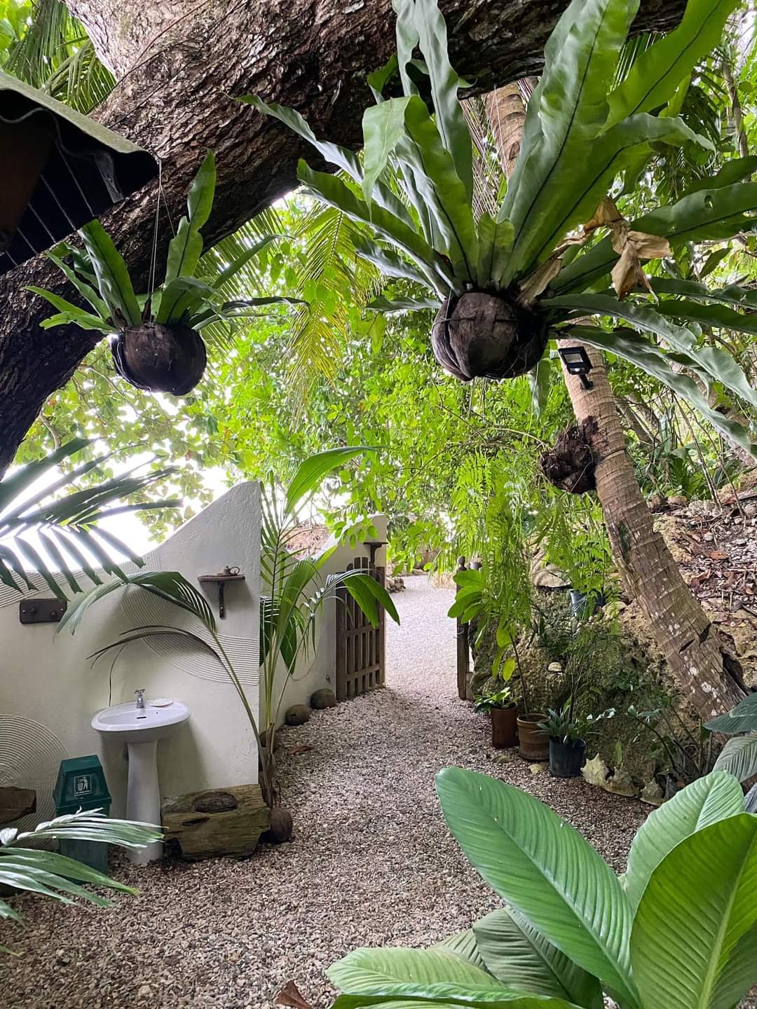 Hayahay Beach Resort: Review, Rates, Photos, and Map | SamalGuide.com