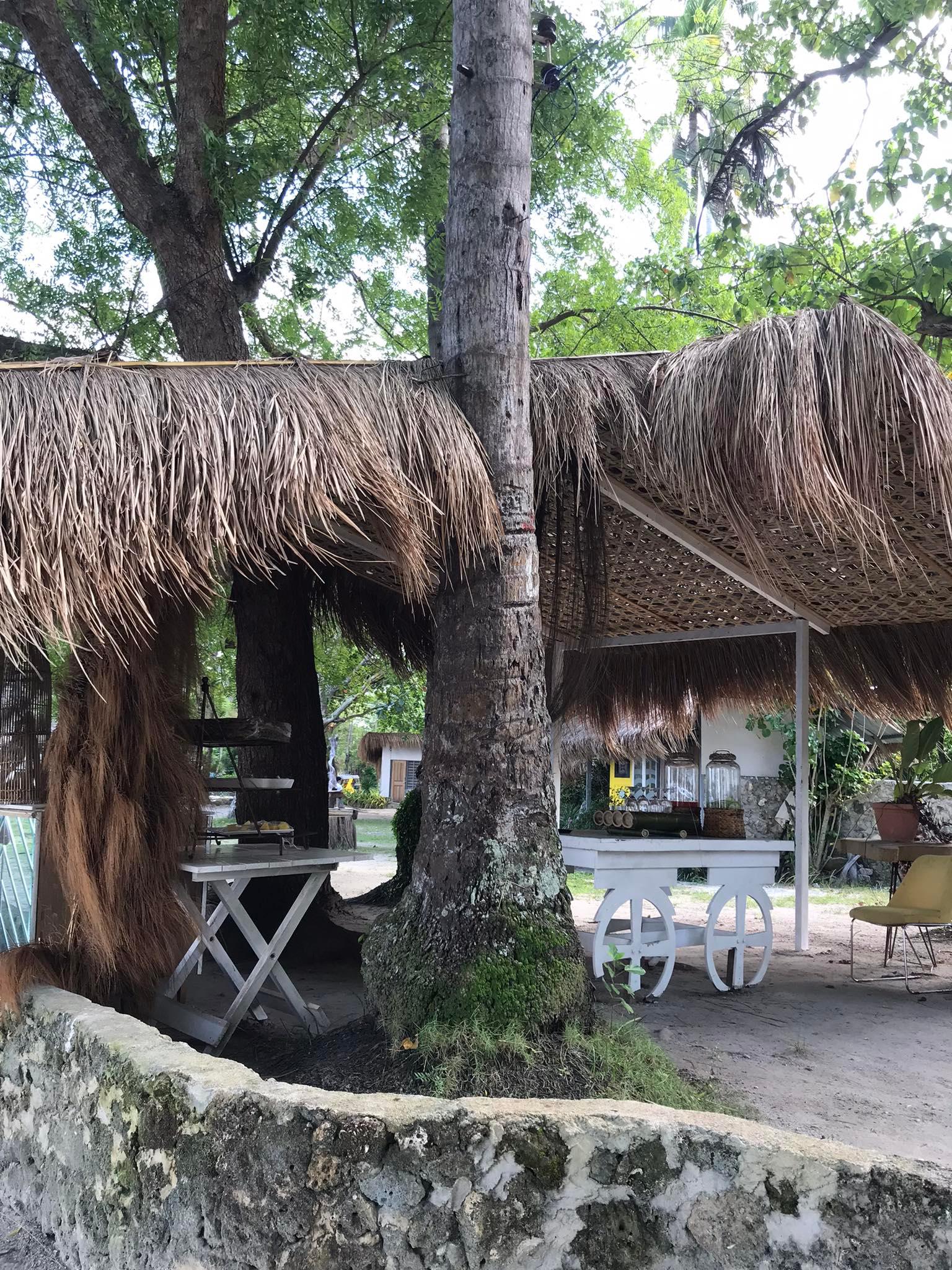 Samal Mango Haven | Samal Guide