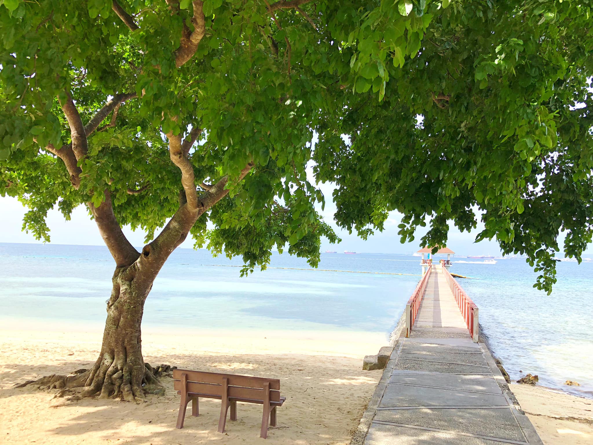 Costa Azalea – Crusoe Cabins and Aqua Water Park: Review, Rates, Photos ...