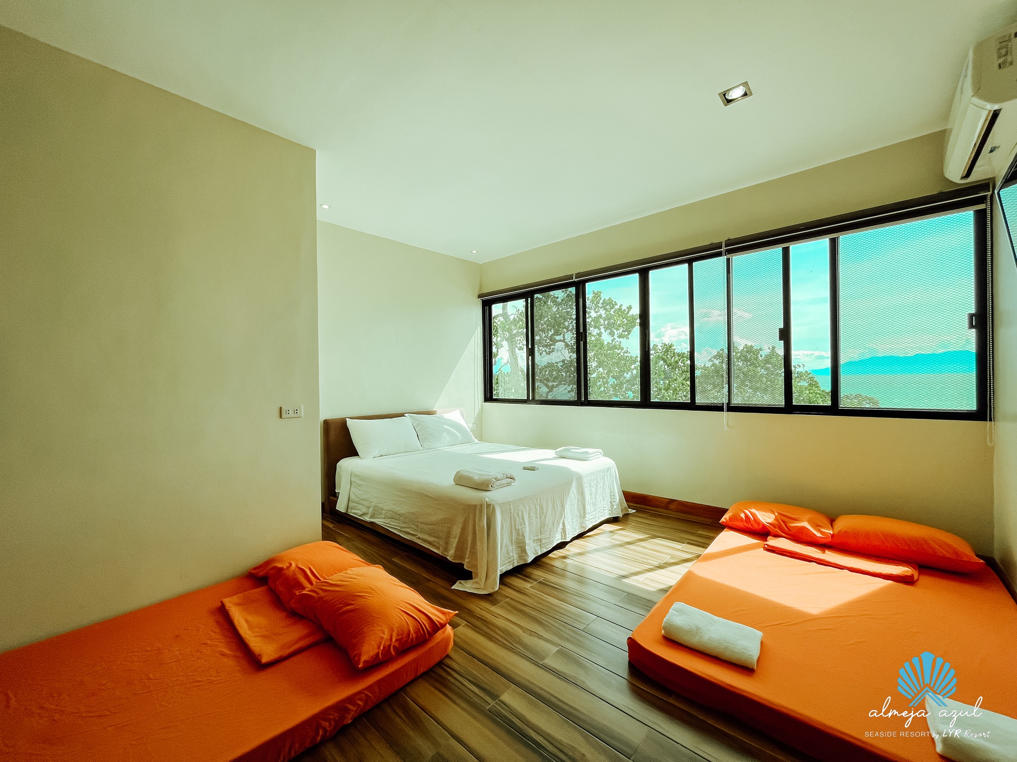 Almeja Azul – LYR Beach Resort: Reviews, Rates, Photos, and Map ...