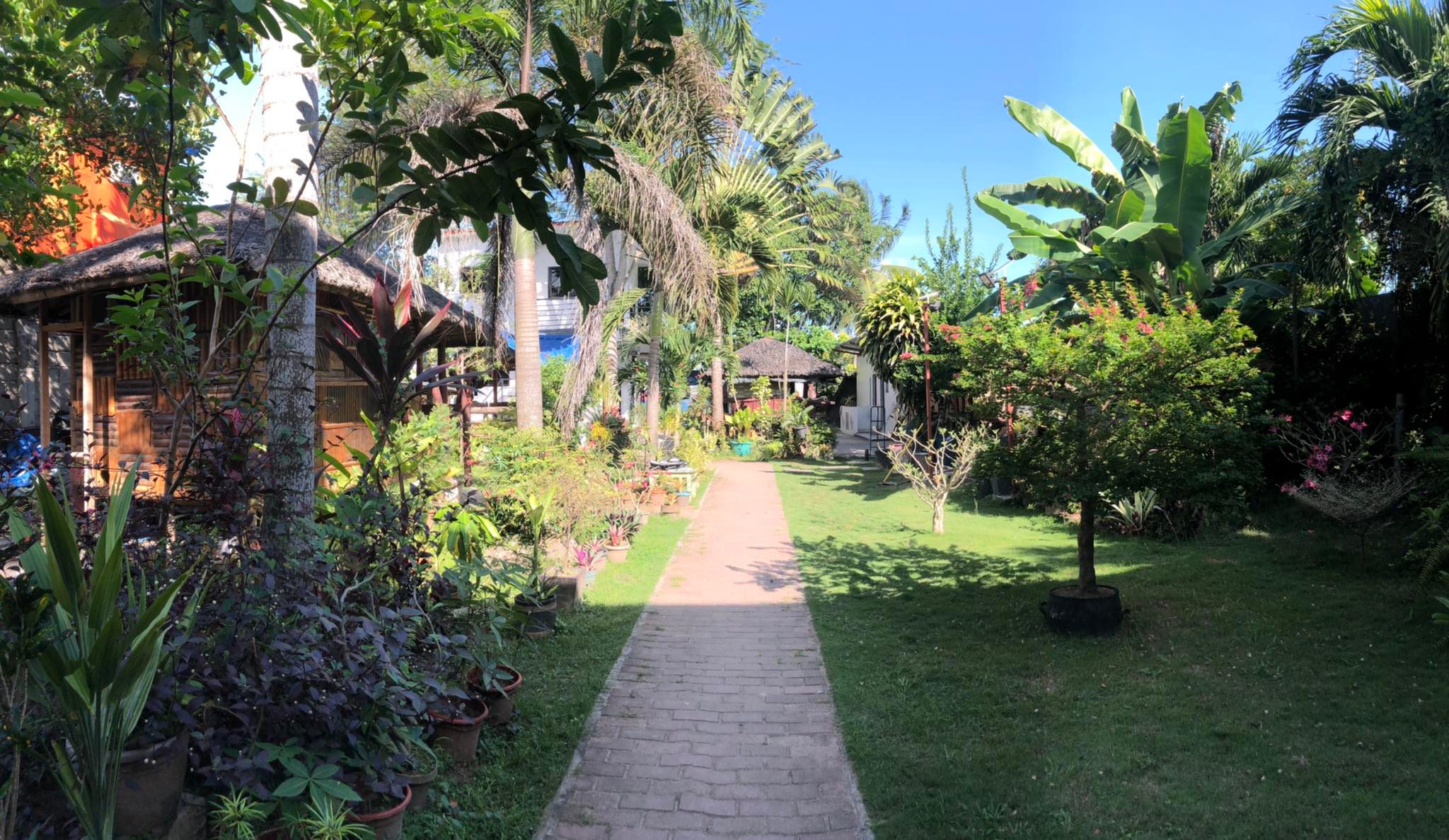 D’Bay Samal Beach & Resort: Review, Rates, Photos, and Map | SamalGuide.com