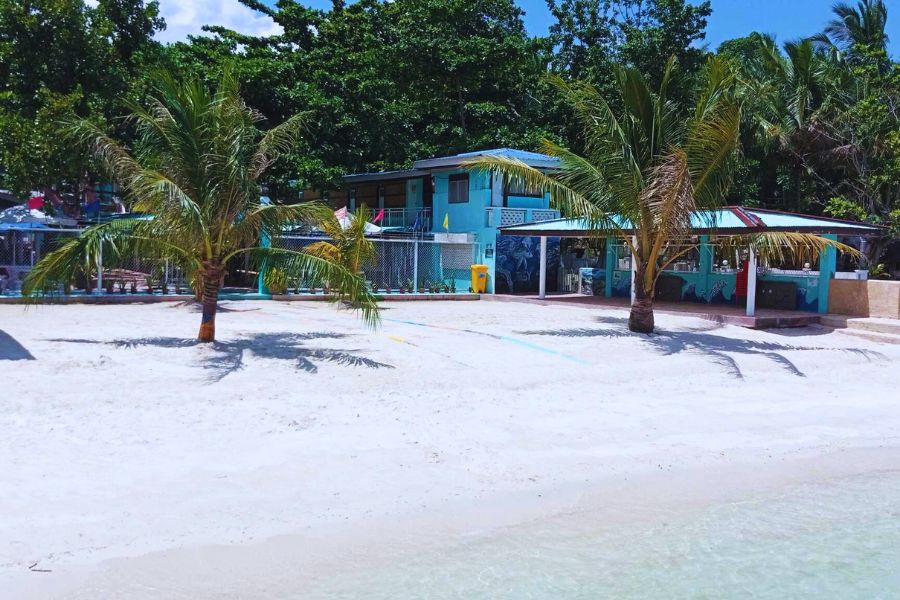 Talisay Beachfront Resort: Review, Rates, Photos, and Map | SamalGuide.com