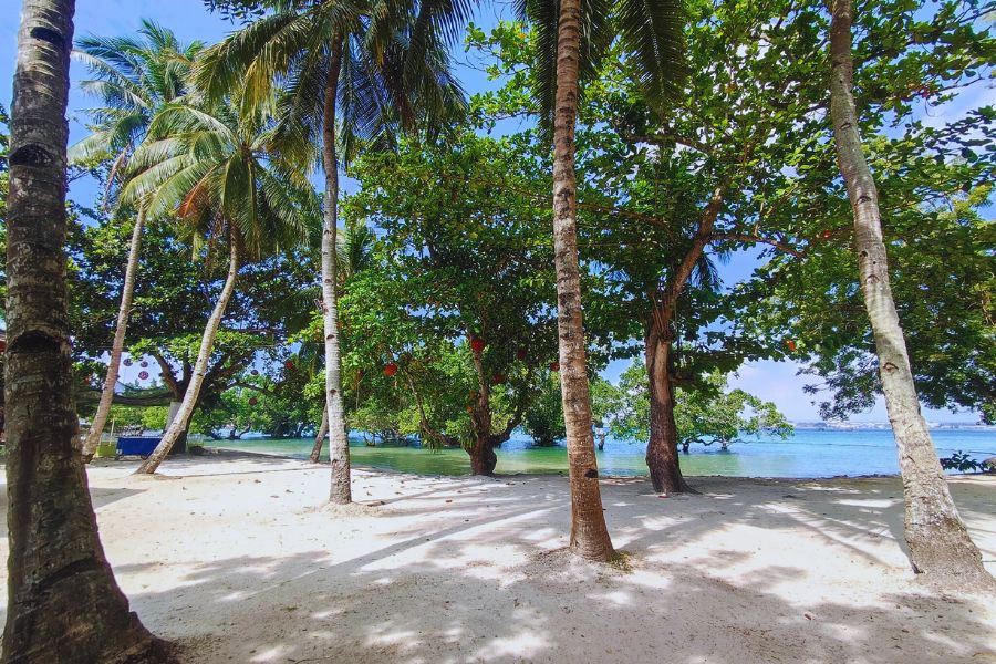 Babak Bamboo Beach Resort: Review, Rates, Photos, and Map | SamalGuide.com